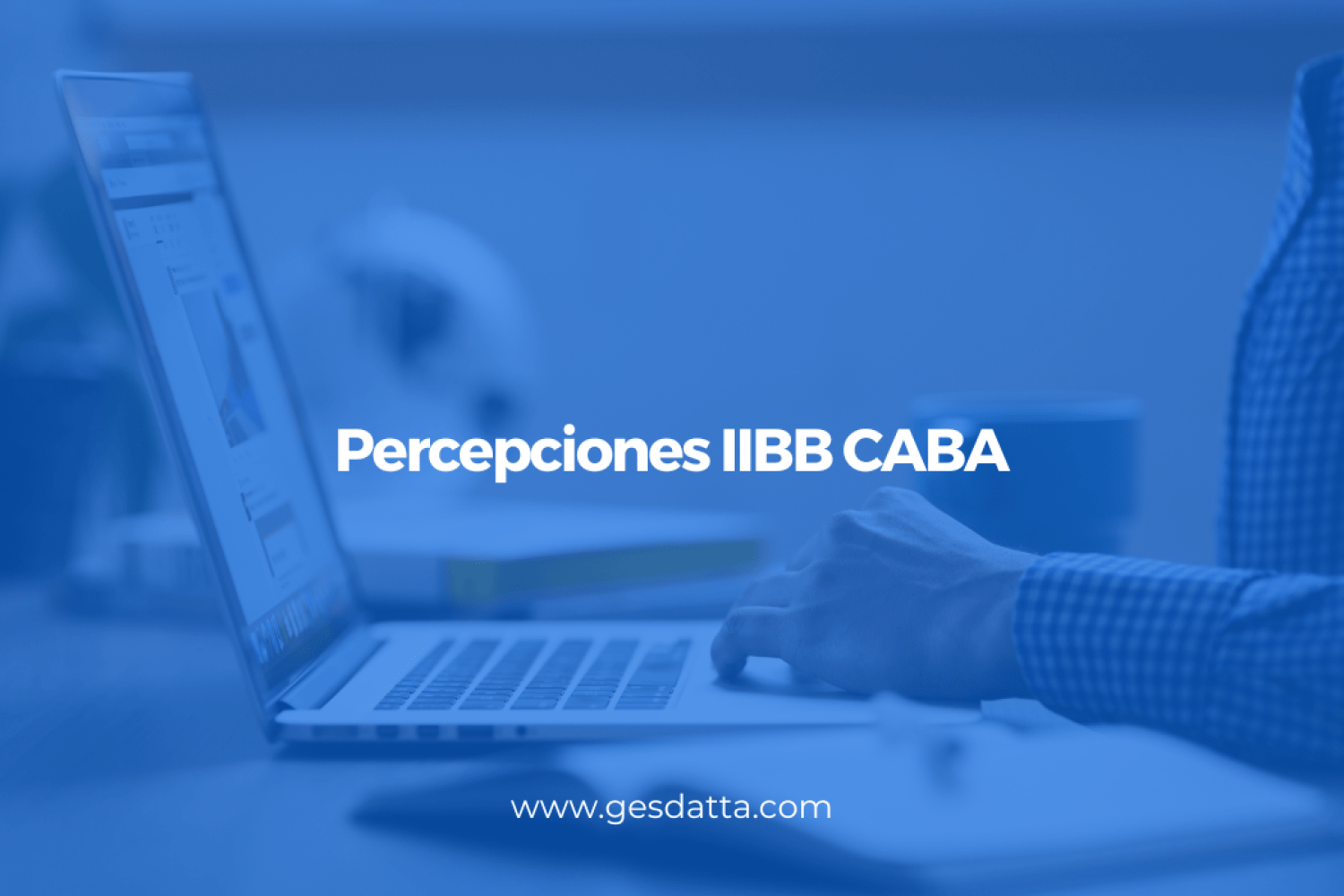 Percepciones de Ingresos Brutos CABA - Gesdatta Frutihorticola