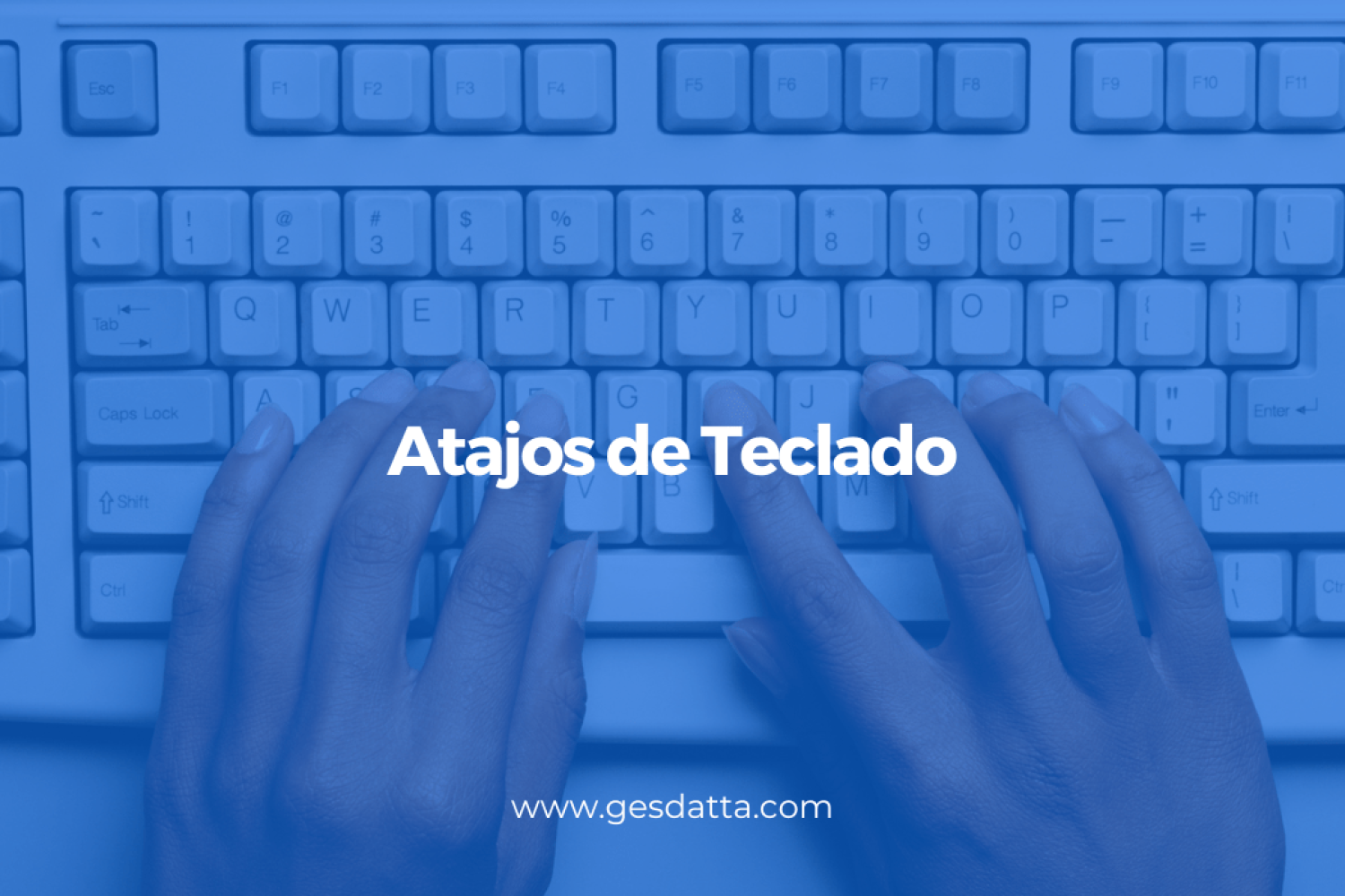 Atajos de Teclado - Gesdatta Frutihorticola